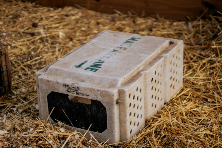 Flight Pen Construction: A Step-by-Step Look | Pheasant.com Blog