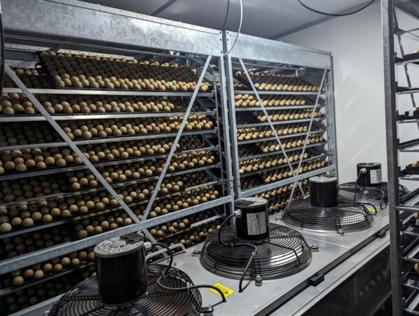 Busy Times at MacFarlane Pheasants' Missouri Breeder Farms 2024! | Pheasant.com Blog