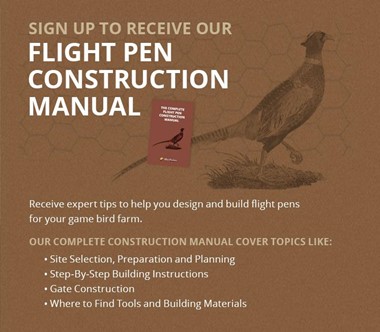 New Flight Pens | Pheasant.com Blog