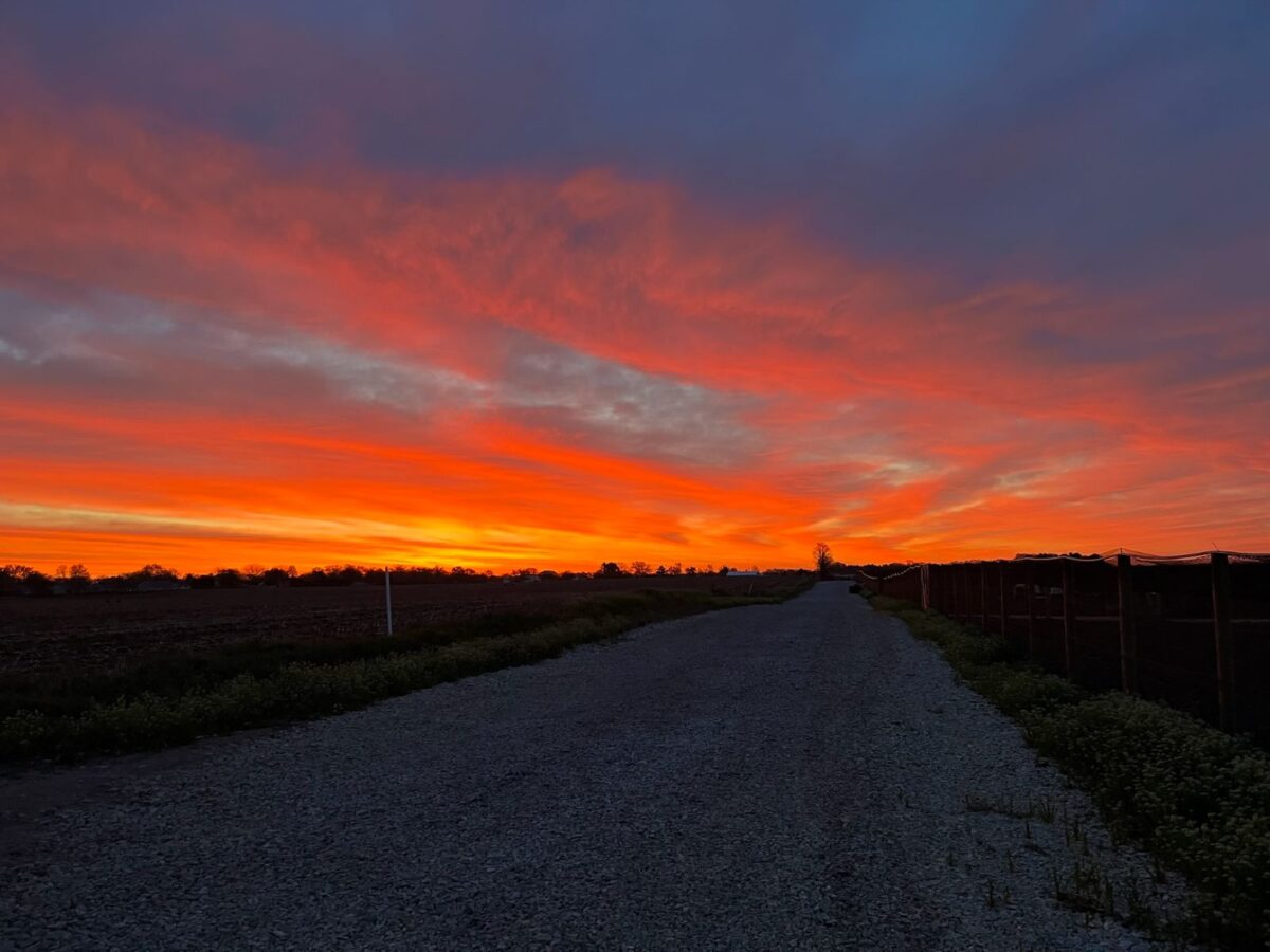 How To Construct Durable Pheasant Flight Pens | Pheasant.com Blog