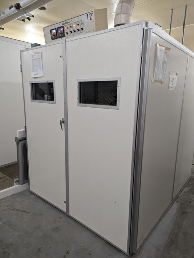 Pheasant Chick Hatchery Virtual Tour | Pheasant Eggs For Sale