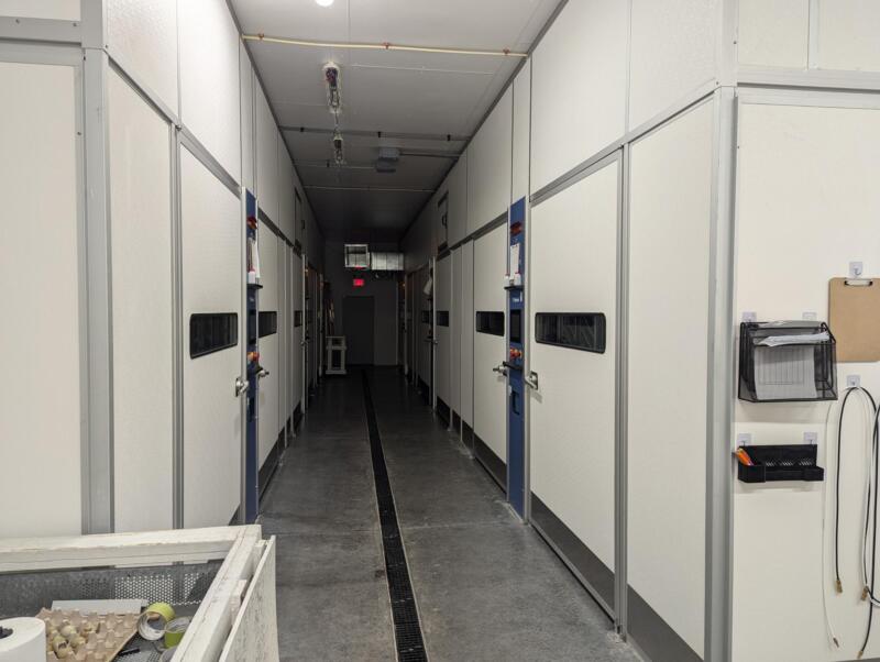 Inside the Design and Build of Our Newly Remodeled Hatchery | Pheasant ...