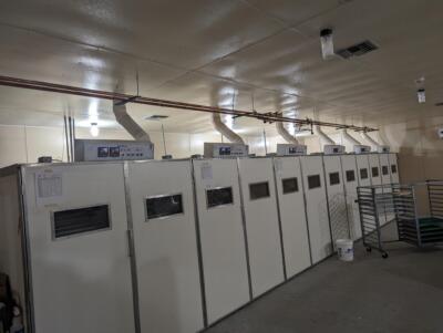Inside the Design and Build of Our Newly Remodeled Hatchery | Pheasant ...