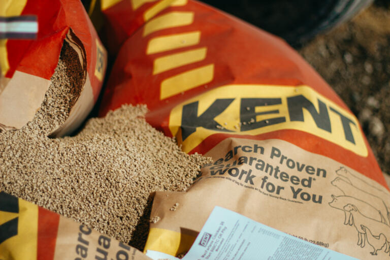 Working with Your Nutritionist and Feed Company to Formulate Ideal ...