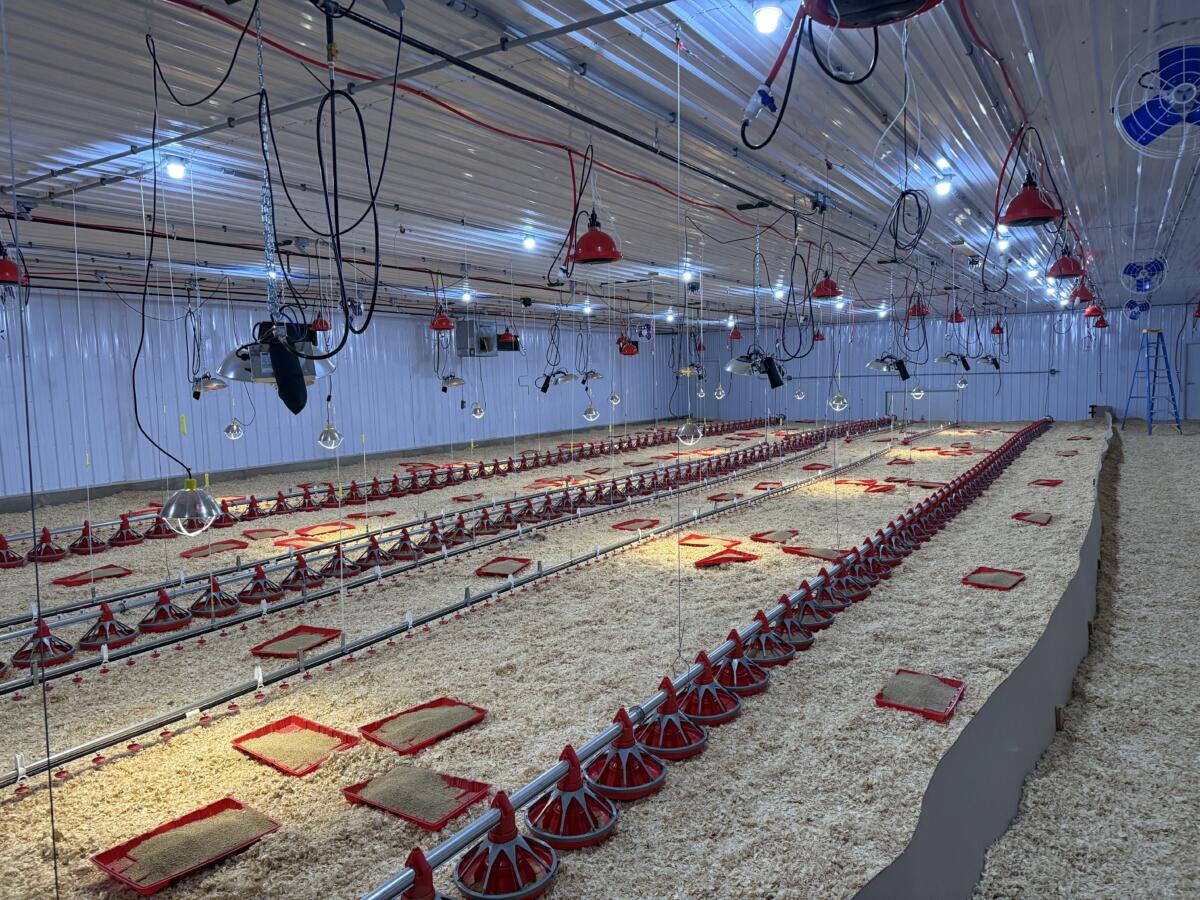 Pheasant.com Blog | MacFarlane Pheasants