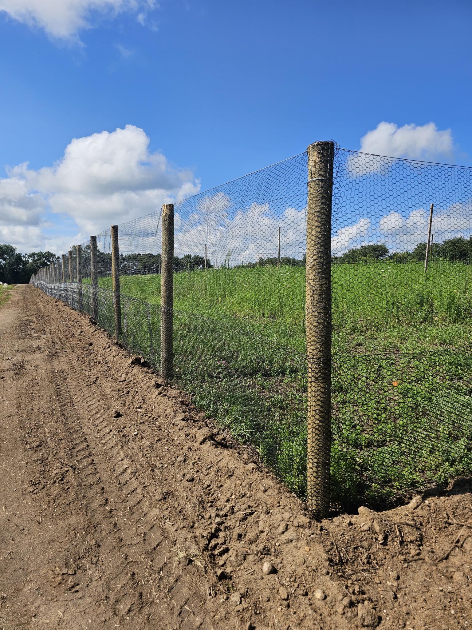 Flight Pen Construction: A Step-by-Step Look | Pheasant.com Blog