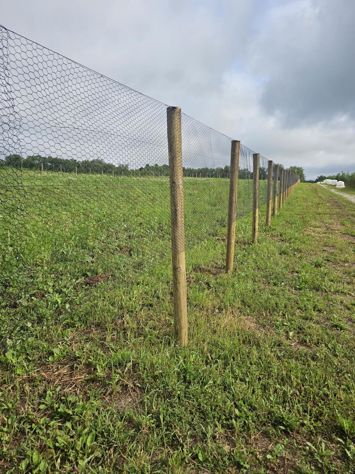 Flight Pen Construction: A Step-by-Step Look | Pheasant.com Blog